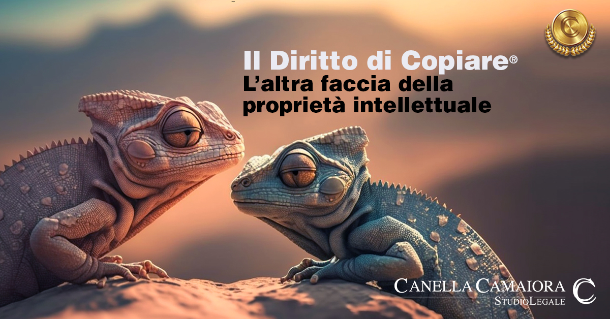 Il Diritto di Copiare® l'altra faccia della proprietà intellettuale ...